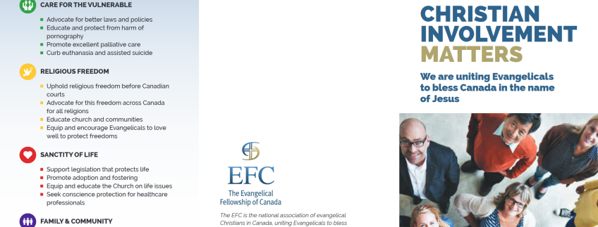 EFC - Brochure introducing the EFC